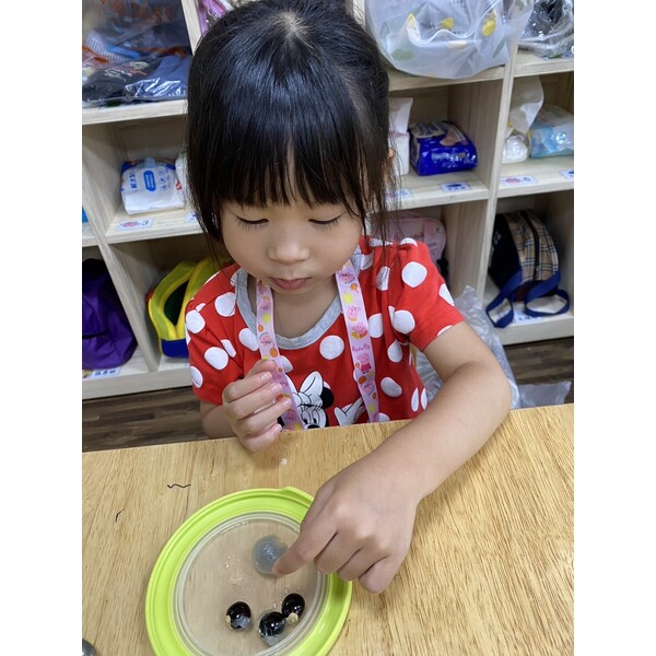 育達科技大學 廣秀森林幼兒園